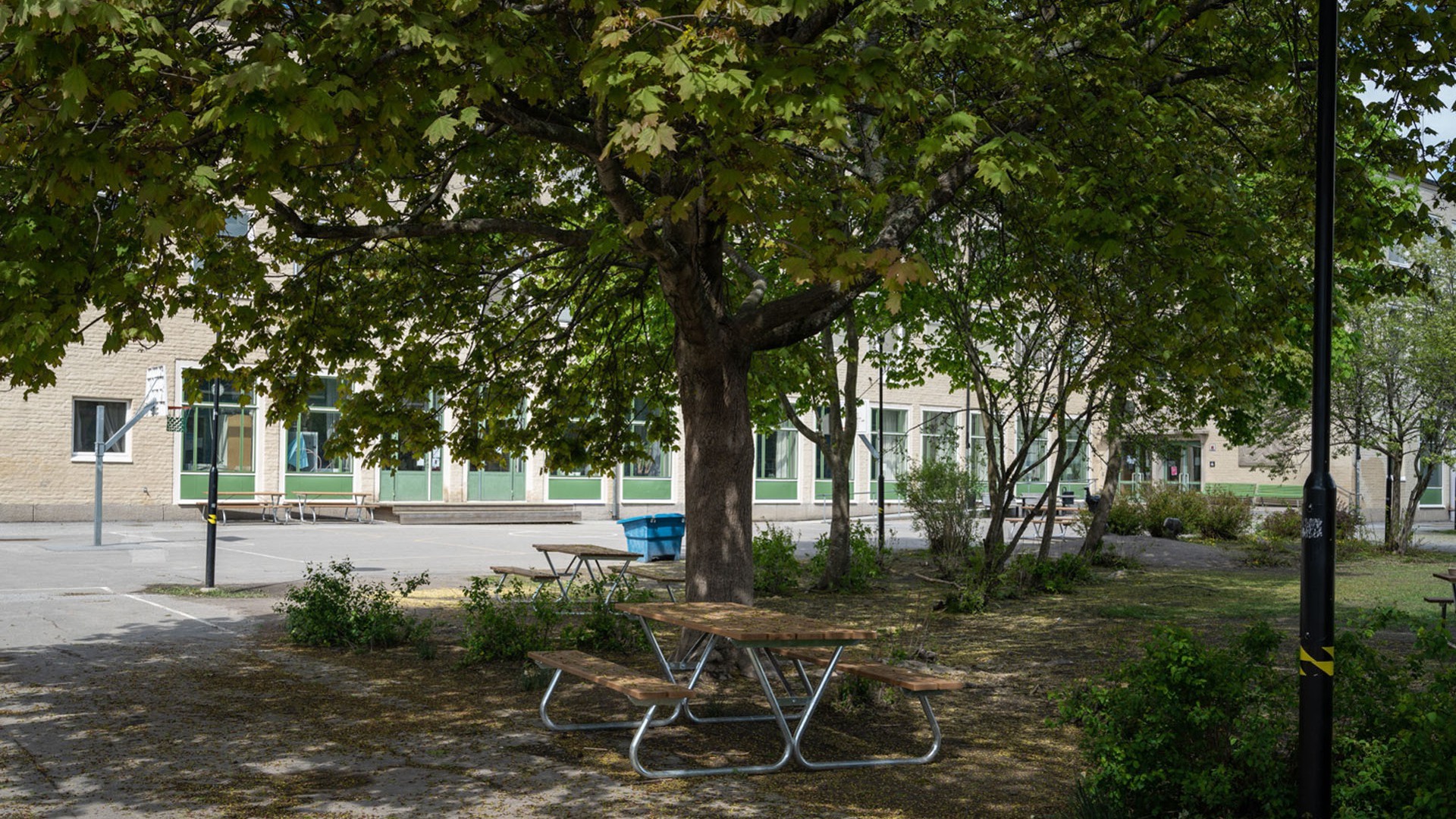 Nya Elementar, F–9 - Stockholms stad